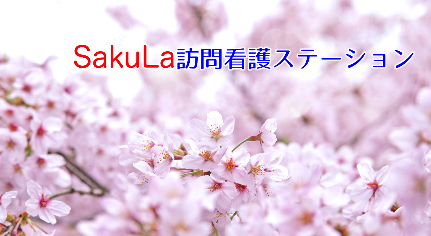 SakuLa訪問看護ステーション – 大阪市住吉区を中心に、疾病や障害などをもった赤ちゃんから高齢者までの方に在宅でのケアサービスを提供する ...